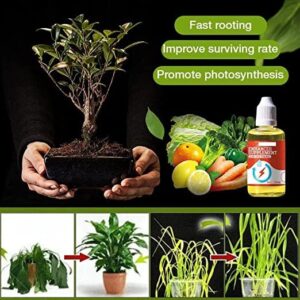 KAMATION Plant Growth Enhancer Supplement, 2023 Upgraded Take Root Rooting Hormone Supplement for Transplant & Rescue The Disease Seedlings, Promotes Rooting, Grow New Plants from Cutting (A*2pcs)