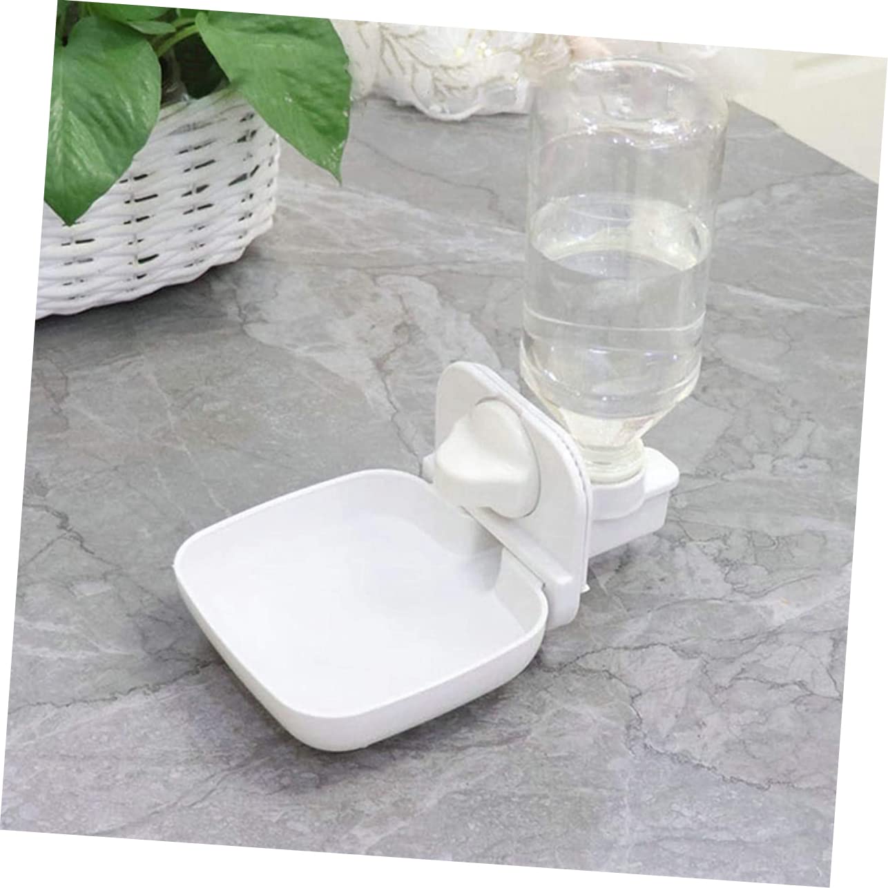 Balacoo 2 pcs automatic feeder bunny water dispenser poultry water bottle pet water dish bunny water fountain rabbit drinking bowl rabbit water bowl white birds plastic hedgehog cage