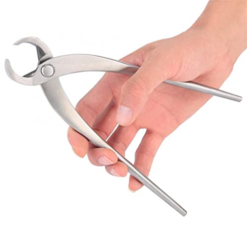 210mm Round Edge Steel Garden Pruning Shears,Thick Branches Cutter Scissors,Bonsai Scissors, Easy to Maneuver,Widely Used for Garden Bonsai Trimming