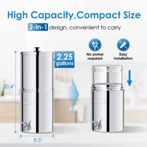 Waterdrop Gravity-fed Water Filter System, 2.25-Gallon Stainless-Steel Filter System, with 2 Filters, Metal Spigot and Stand, Reduces up to 99% of Chlorine & Bad Taste-King Tank Series