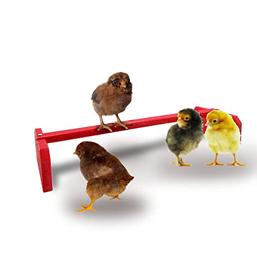 Backyard Barnyard Chicken Roosting Bar Perch for Baby Chicks to Adult Birds. Made in USA!!! Poultry Habitat, Brooder, Coops or Run. Easy-Clean Bird Stand for Chicks, Pollos, Laying Hens. (Red)