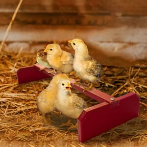 Backyard Barnyard Chicken Roosting Bar Perch for Baby Chicks to Adult Birds. Made in USA!!! Poultry Habitat, Brooder, Coops or Run. Easy-Clean Bird Stand for Chicks, Pollos, Laying Hens. (Red)