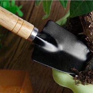 Gardenera Bonsai 3PC Gardening Tool Set: Rake, Spade, Shovel - Wooden Handles - Best Kit for Potted Plant, Flower and Seedling Care - Ergonomic Design for Little Hands - Great Gift for Gardeners