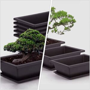 DOITOOL 5PCS Rectangular Bonsai Training Pot , 6.5 inch Plastic Bonsai Pot with Drainage Hole, Small Bonsai Planter Pot for Desktop Decoration Nursery, Garden, Balcony