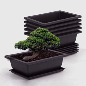 DOITOOL 5PCS Rectangular Bonsai Training Pot , 6.5 inch Plastic Bonsai Pot with Drainage Hole, Small Bonsai Planter Pot for Desktop Decoration Nursery, Garden, Balcony