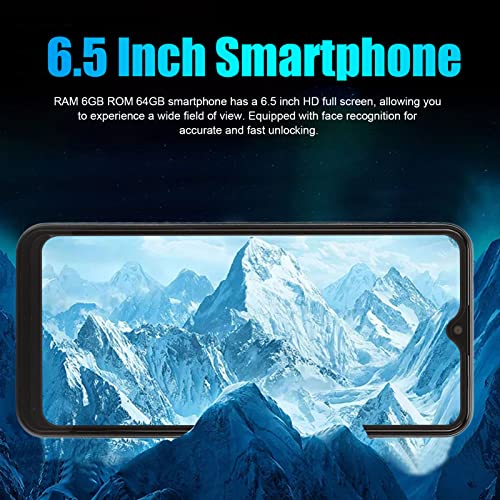 Smartphone, High Resolution Dual SIM 100-240V Cell Phone Type C Charging Port 5MP 13MP 6GB 64GB 6.5 Inch Screen for Play (US Plug)