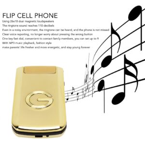 Diydeg Cell Phone for Seniors, 2.4in Wide Screen Large and Convex 3 Dimensional Keys Flip Phone Built in Super Loud Dual Magnetic Loudspeaker, HD Voice Flipphone for Senior Easy Use