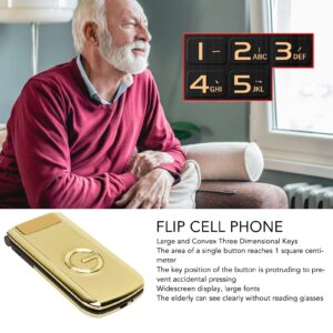 Diydeg Cell Phone for Seniors, 2.4in Wide Screen Large and Convex 3 Dimensional Keys Flip Phone Built in Super Loud Dual Magnetic Loudspeaker, HD Voice Flipphone for Senior Easy Use