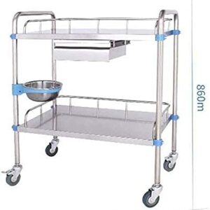 JYDQM Stainless Steel Trolley-Double Cart Trolley Trolley Care Dressing Medical Cart Clinic Beauty Trolley (Size : 80)