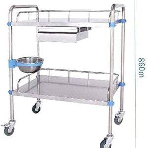 JYDQM Stainless Steel Trolley-Double Cart Trolley Trolley Care Dressing Medical Cart Clinic Beauty Trolley (Size : 80)