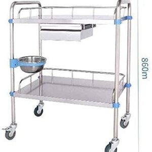 JYDQM Stainless Steel Trolley-Double Cart Trolley Trolley Care Dressing Medical Cart Clinic Beauty Trolley (Size : 80)