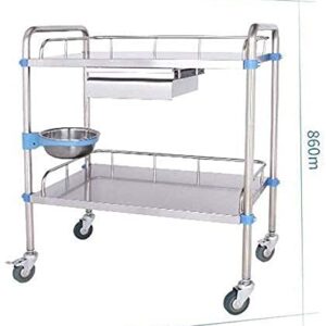 JYDQM Stainless Steel Trolley-Double Cart Trolley Trolley Care Dressing Medical Cart Clinic Beauty Trolley (Size : 80)