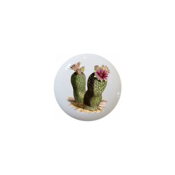 Cactus by TGF Cacti Decorative Ceramic Dresser Drawer Pulls Cabinet Cupboard Knobs (#07)