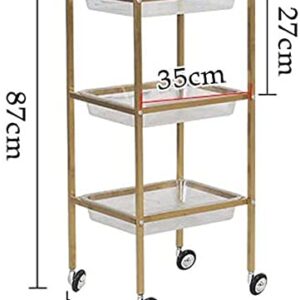 Utility Cart Lab Serving Cart, Medical Cart 3 Shelf Large Beauty Salon Trolley Cart Spa Storage Tray Therapy Dentist Hairdresser Treatments, Stainless Steel Tray Trolley,Care Dressing Medical Cart (C