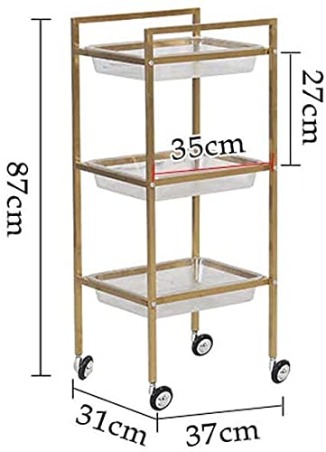 Utility Cart Lab Serving Cart, Medical Cart 3 Shelf Large Beauty Salon Trolley Cart Spa Storage Tray Therapy Dentist Hairdresser Treatments, Stainless Steel Tray Trolley,Care Dressing Medical Cart (C