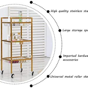 Utility Cart Lab Serving Cart, Medical Cart 3 Shelf Large Beauty Salon Trolley Cart Spa Storage Tray Therapy Dentist Hairdresser Treatments, Stainless Steel Tray Trolley,Care Dressing Medical Cart (C