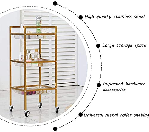 Utility Cart Lab Serving Cart, Medical Cart 3 Shelf Large Beauty Salon Trolley Cart Spa Storage Tray Therapy Dentist Hairdresser Treatments, Stainless Steel Tray Trolley,Care Dressing Medical Cart (C