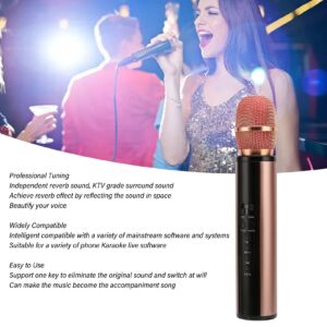 GOWENIC Karaoke Microphone, Portable Handheld Wireless Microphone for Bluetooth, Rechargeable Kids Microphone with Recording for Home KTV Kids Birthday Party ()