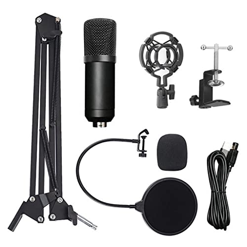 n/a Condenser Microphone Computer USB Port Studio Microphone for pc Sound Card Professional Microphones DJ Live