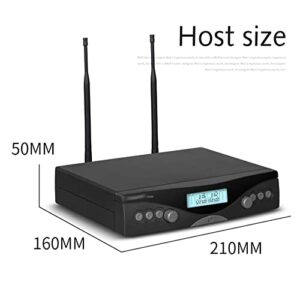 n/a Wireless Microphone UHF 2 Channels Handheld Frequency Adjustable for Party Stage Show 50M Use Distance