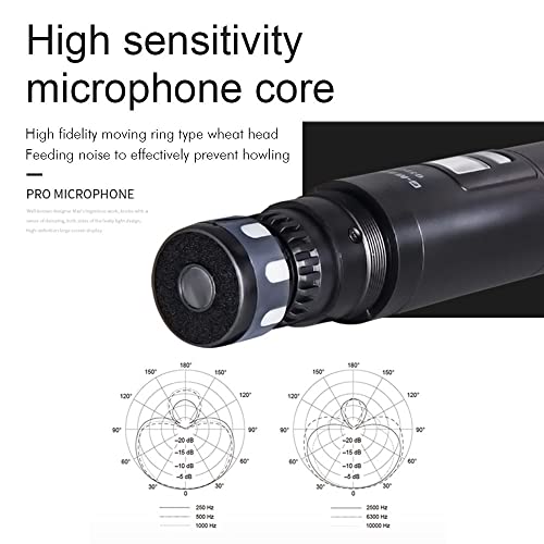 n/a Wireless Microphone UHF 2 Channels Handheld Frequency Adjustable for Party Stage Show 50M Use Distance