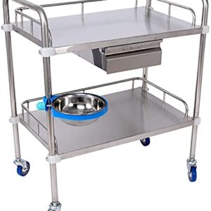 Cart Trolley, Lab Clinic Serving Cart Trolley 2-Tier Medical Trolley Stainless Steel Treatment Trolley/Medical Laboratory Equipment Carts/Beauty Salon Tool Car，L50xW40xH86cm The Taste of Home