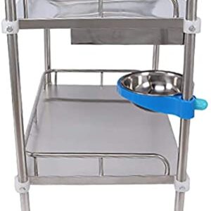 Cart Trolley, Lab Clinic Serving Cart Trolley 2-Tier Medical Trolley Stainless Steel Treatment Trolley/Medical Laboratory Equipment Carts/Beauty Salon Tool Car，L50xW40xH86cm The Taste of Home