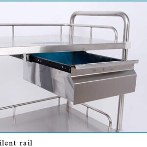 Cart Trolley, Lab Clinic Serving Cart Trolley 2-Tier Medical Trolley Stainless Steel Treatment Trolley/Medical Laboratory Equipment Carts/Beauty Salon Tool Car，L50xW40xH86cm The Taste of Home