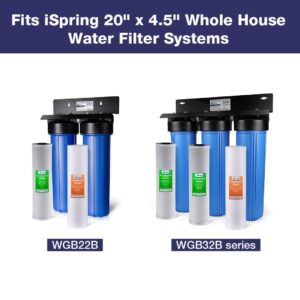 iSpring 5-Micron 20” x 4.5” Whole House Water Filter Cartridges, High Capacity Sediment Filter, Model Number: FP25BX2