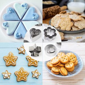 Mini Cookie Cutter Shapes Set - 30 Small Molds to Cut Out Pastry Dough, Pie Crust & Fruit - Tiny Stainless Steel Metal Stamps Star Flower Round Heart Square Triangle Oval Raindrop Geometric Shapes