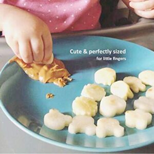 Cofe-BY DIY Veggies Cutter set 12pcs, Flower Star Animals Shapes Mini Fruit Cutters Decorating Kits for Cookies Fondant Cake Decoration Kids Food Bento Box Baking Supplies Home Essentials