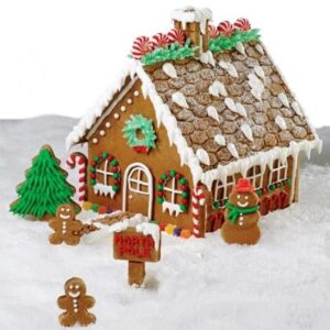 Gingerbread House Cookie Cutter Set - 3D House Cookie Cutters, Gingerbread House Kit for Holiday, Winter, Christmas & Gingerbread House Kit for Kids, Gift Package (10Pcs Christmas Cookie Cutters)