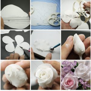 KALAIEN Rose Flower Cutters Set Gumpaste Flowers Modelling Tools for Cake Decorating Cookie Mold Sugarcraft Plunger Cutter Mold Set of 6