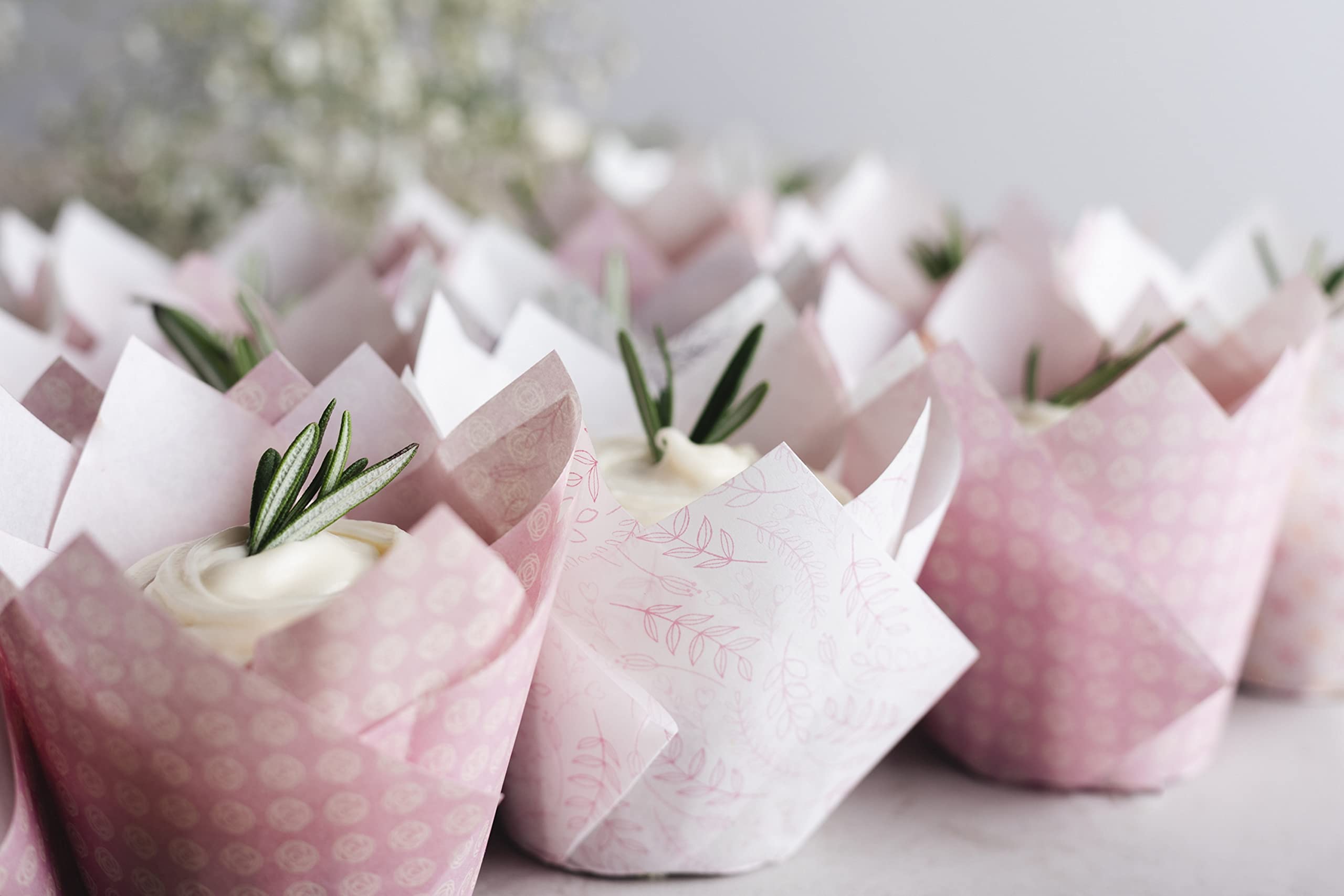 Ashleigh's Tulip Cupcake Liners - 100 Blush Ferns Cupcake Wrappers, Baking Cups, Muffin Cups, Cupcake Cups