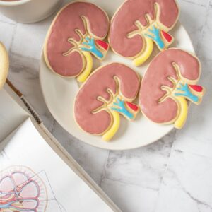 External Kidney cookie cutter, 1 piece - Bakerlogy