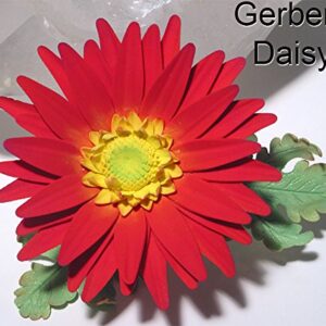 Daisy 12 Petal 4 Cutter Set by WSA