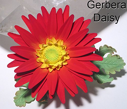 Daisy 12 Petal 4 Cutter Set by WSA