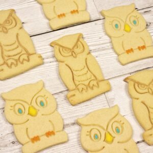 Set of 2 Owl cookie cutters (Designs: Great Horned Owl and Cute Owl), 2 pieces - Bakerlogy