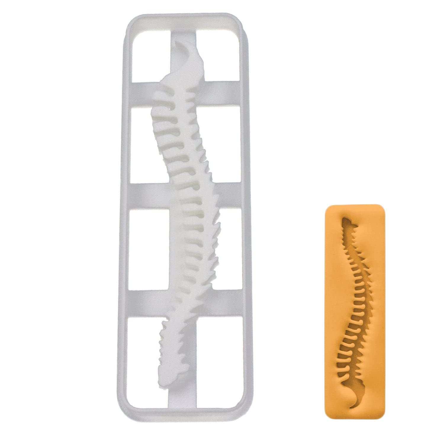 Human Spine cookie cutter, 1 piece - Bakerlogy