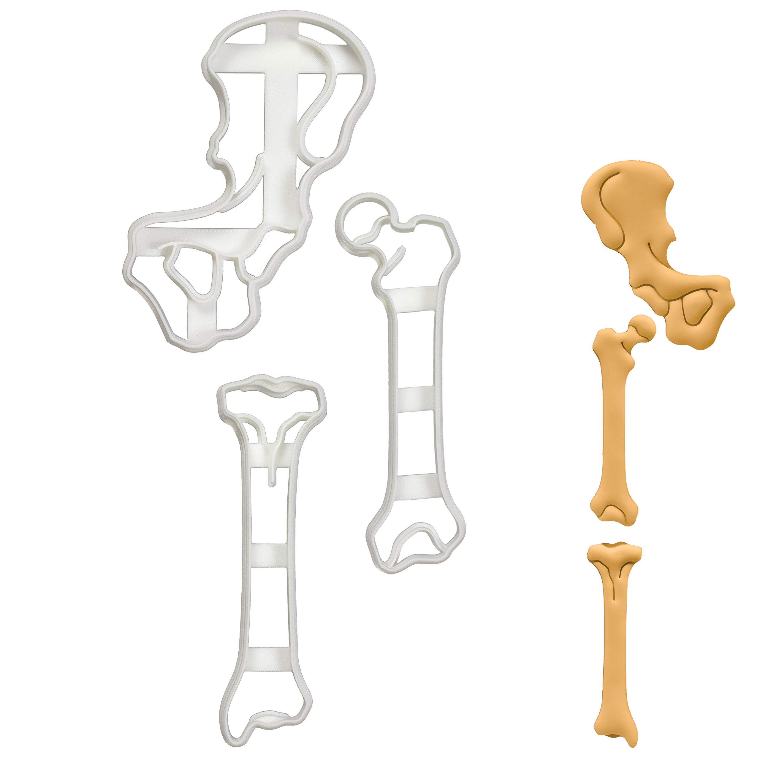 Set of 3 cookie cutters (Designs: Hip, Femur & Tibia Bone), 3 pieces - Bakerlogy