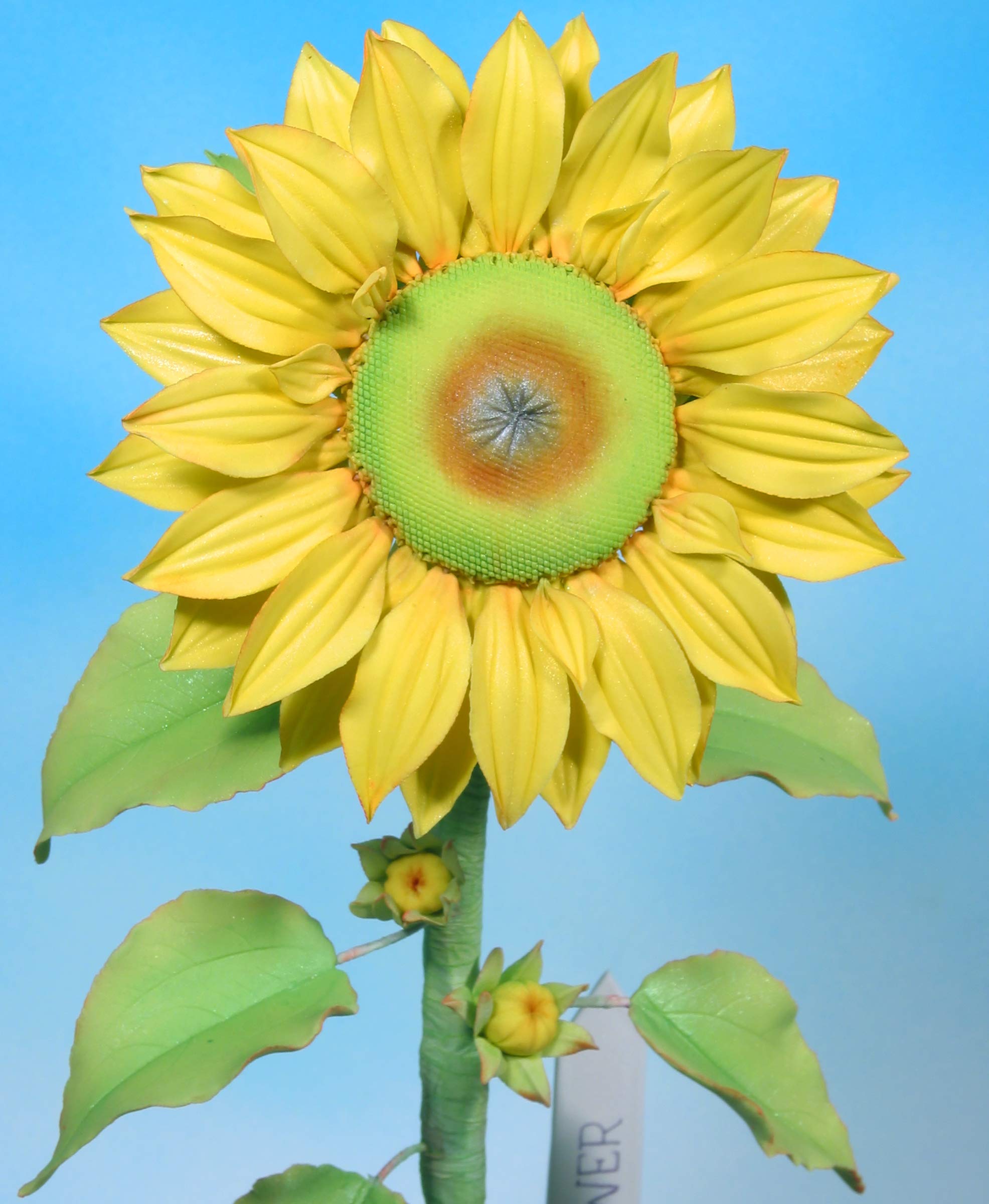 Sunflower Petal Cutters (set of 4 sizes)