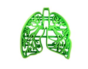 lungs anatomy cookie cutter