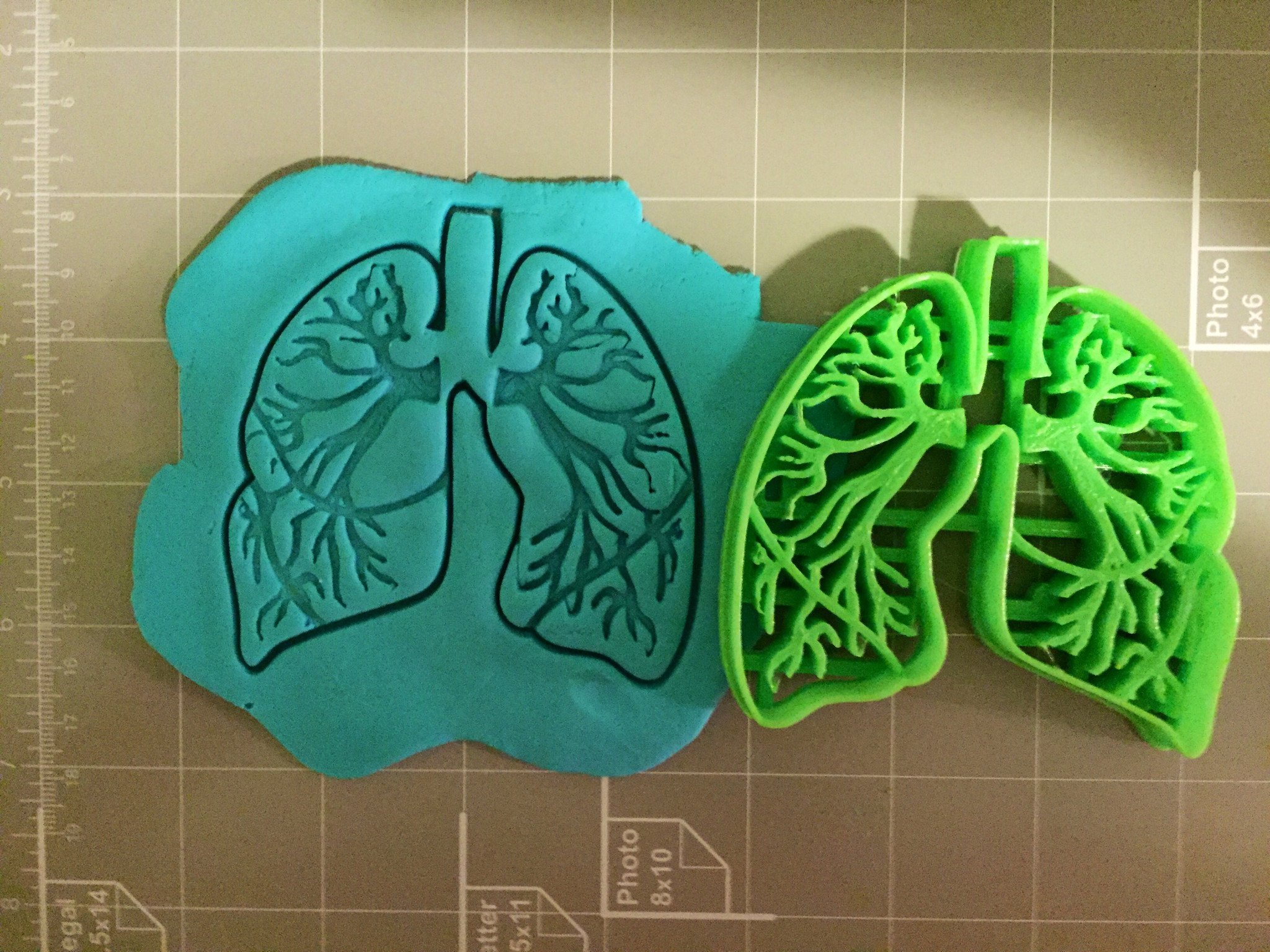 Lungs Anatomy Cookie Cutter