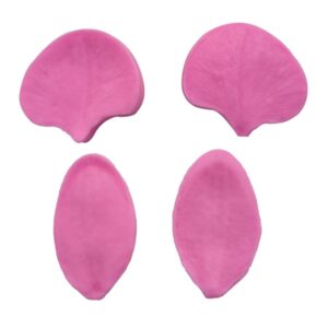 Carunke Gumpaste Large Phalaenopsis Orchid Double-Veiner & Cutter Set Fondant Cake Decoration Molds