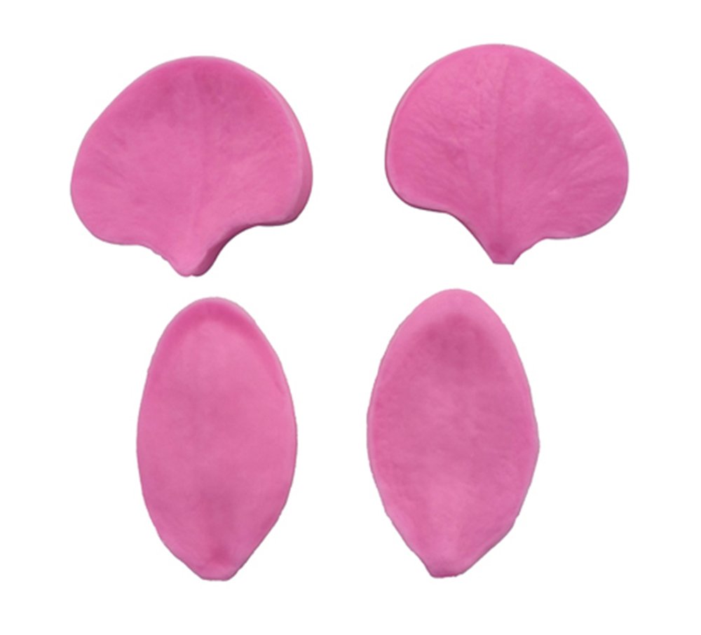 Carunke Gumpaste Large Phalaenopsis Orchid Double-Veiner & Cutter Set Fondant Cake Decoration Molds