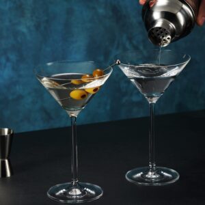 Godinger Cocktail Shaker Set and Martini Glasses Bar Set, Stainless Martini Shaker with Stemmed Cocktail Glasses and Double Jigger, 4 Piece Gift Set