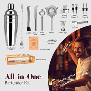 Mooues 18-Piece Bartender Kit, Stainless Steel Cocktail Shaker Set with Bamboo Stand, Bar Cart Accessories with All Essential Bar Tools, Bar Sets for The Home, Cocktail Set for Gift