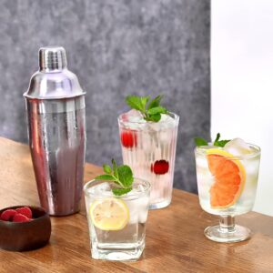 Etens Cocktail Shaker and Boston Bartender Kit Bundle