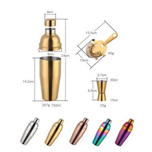 Buyer Star Cocktail Shaker Bar Set,Rainbow Juice Shaker, 25oz Martini Shaker, Fast Cooling Drink, 8-piece Bartender Kit Drink Bartender Stick Tool Set