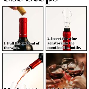 Wine Aerator, 6PCS Wine Pourer, Premium Wine Airarator, Wine Aerator Pourer Spout, Wine Aerorater and Wine Aireators Pourer for Wine Lovers